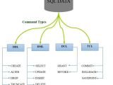 Sql Commands And Data Types Sql Basics Dbms Tutorial